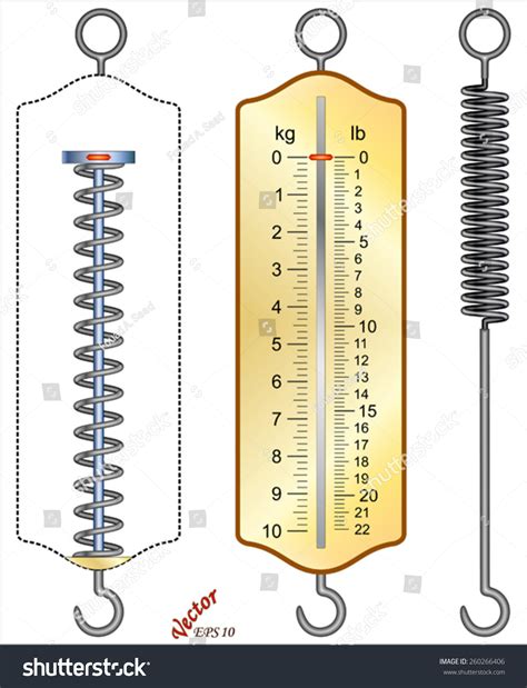 What Does The Spring Balance Measure At Adolph Grier Blog