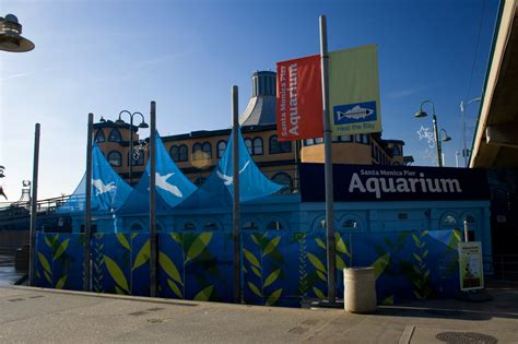 Heal The Bay Aquarium Attractions In Downtown Santa Monica Los Angeles