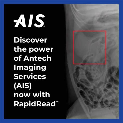 Antech Diagnostics On Linkedin Have You Ever Needed A Quick Second Opinion When Evaluating