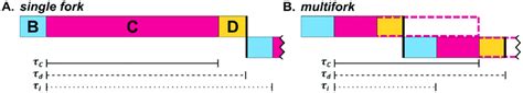 Stochastic Timers Visual Representations Of The Timers τ I τ C And