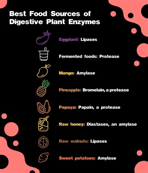 Digestive Enzymes Food Sources At Evelyn Turner Blog