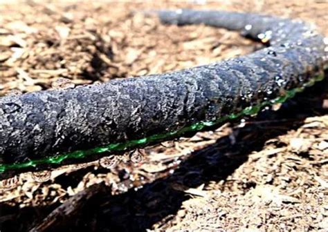 Porous Pipe Termite Treatment Service At Rs 26sq Ft Anti Termite