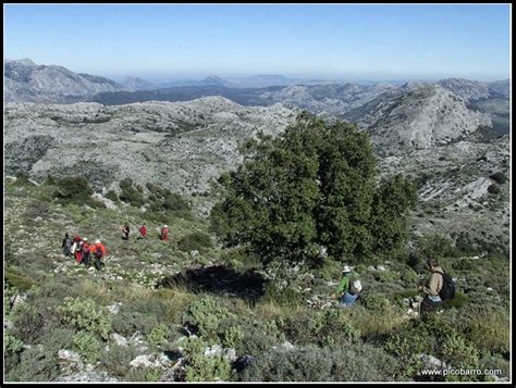 Pico Sierra De Los Pinos Sierra De Líbar P N Sierra De Grazalema