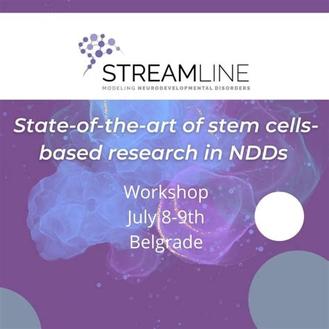 Streamline Streamline Project