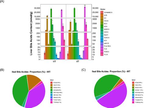 Figure 3 From The Effect Of Mstn Mutation On Bile Acid Metabolism And Lipid Metabolism In Cattle