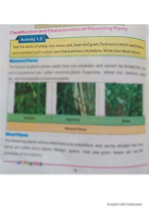 Solution Classification Of Flowering Plants Studypool