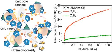 Control Of Functionalized Pore Environment In Robust Ionic