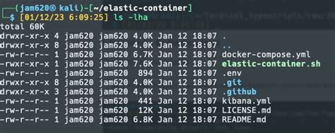 Responsable Red Teaming Terminal Logging Toad Security