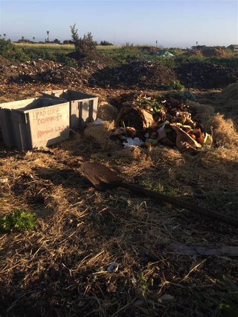 Flattening Cubes Of Compost Hard Core Compost