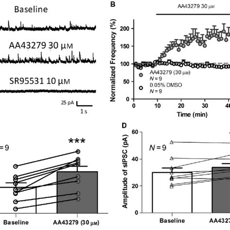 Spontaneous Inhibitory Post Synaptic Current Sipsc Frequency And Download Scientific Diagram