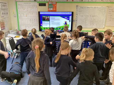 Bird Experts Plover School