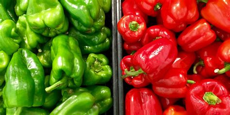 How To Grow Capsicum At Home Ephas