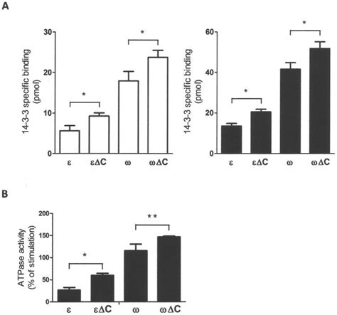 A Peptide Binding Assay 0 05 Nmol Of Bl15vp Biotinyl Peptide Were