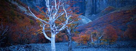Jquery Slideshow