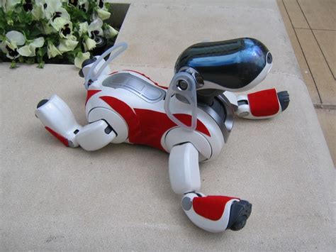 Robot Red Aibo Toy Machine Hd Wallpaper Rare Gallery