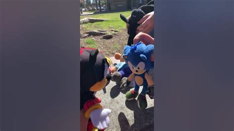 Sonics Roast Youtube