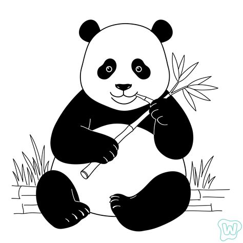 27 Osos Panda Para Colorear Dibujos Para Niños
