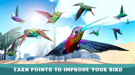 Humming Bird Wildlife Simulator Game Flower Eating Bright Color Dash