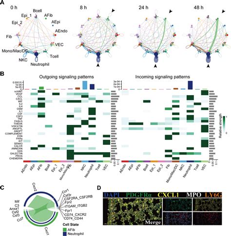 Cellcell Interactions A Interaction Net Count Plot Among Diverse