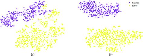 the t sne clusters constructed using lung fpkm data a and using lung