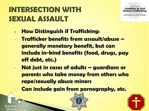 Ppt A Collaborative Response To Human Trafficking Powerpoint