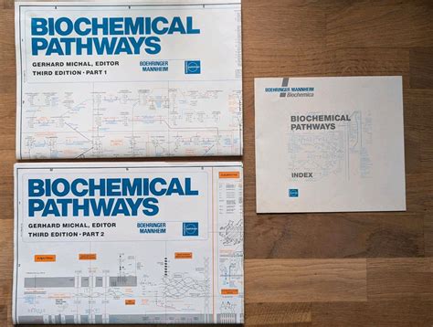 Biochemical Pathways Wall Charts Boehringer Mannheim 3rd Ed In Niedersachsen Seevetal