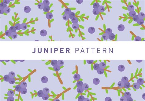 Juniper Pattern Wallpaper 147061 Vector Art At Vecteezy