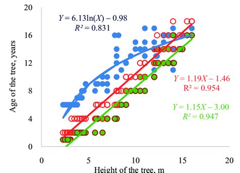 Dependence Of Tree Age On Tree Height The Blue Colour Is The Age Download Scientific Diagram