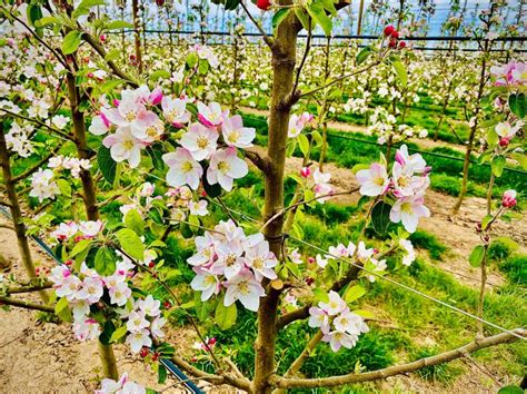 Olivia Doerr Posted On Linkedin