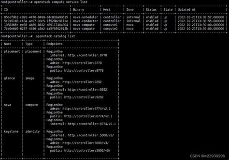 ubuntu22 04安装 openstack yoga（networking option 1 provider networks） 怎么