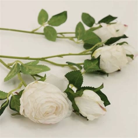 Dried Touch Mixed Ruby Rose Bundle 12 White Ivory Village Green