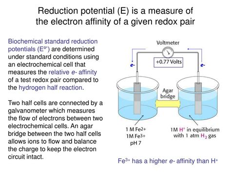 Standard Reduction Potential Measurement At Georgia Lai Blog