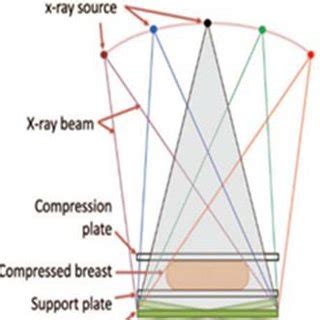 Schematic Of A DBT Acquisition Download Scientific Diagram
