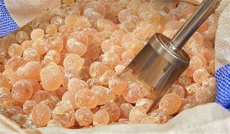 فوائد اللبان الذكر للمهبل والطرق المثلى لاستخدامه البوابة