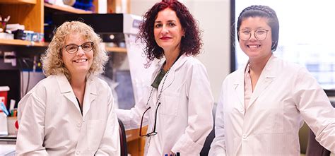 Become A Member Immunology Institute