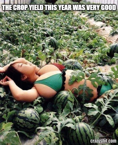 Great Crop Yield Crazy Shit