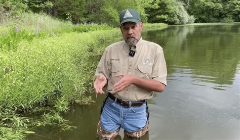 How To Identify And Treat Different Types Of Algae In Ponds