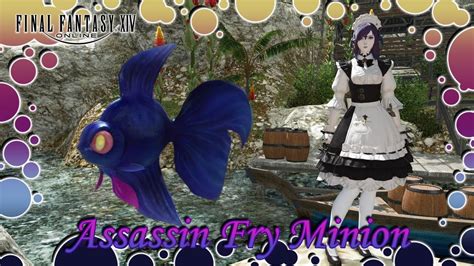 Ffxiv Assassin Fry Minion Guide Youtube