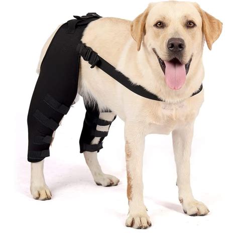 Best Double Knee Brace For Dogs Hind Legs For Sale Lovepluspet