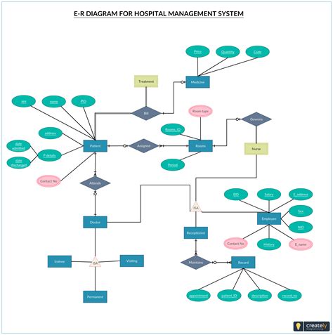 Entity Relationship Diagram Generator Entity Relationship Di