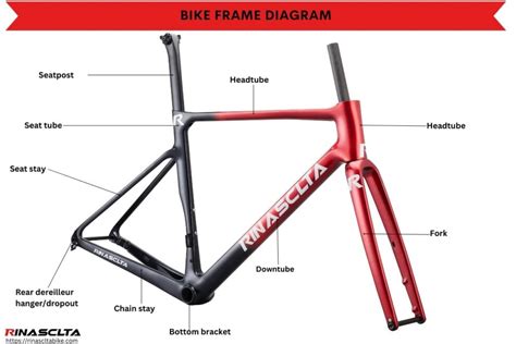 Bike Frames Materials Types Sizes And Lifespan Bike Frames Materials Types Sizes And Lifespan