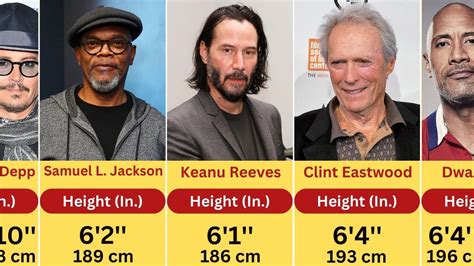 Heights Of Hollywood Actors Shortest To Tallest Relative Height