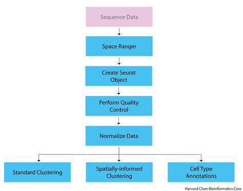 Visium Hd Analysis Spatial Nanocourse Visium Hd Analysis Spatial Nanocourse
