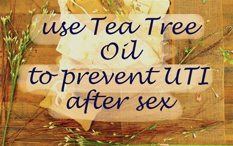 Can You Prevent Uti After Sex With Tea Tree Oil Stop Uti Forever