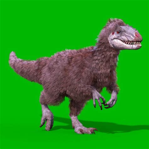 Yutyrannus Dinosaur 3d Animation Pixelboom