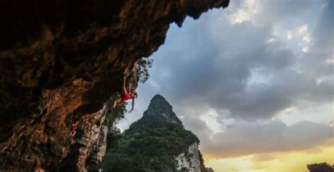 伍鹏又火了！腾讯新闻