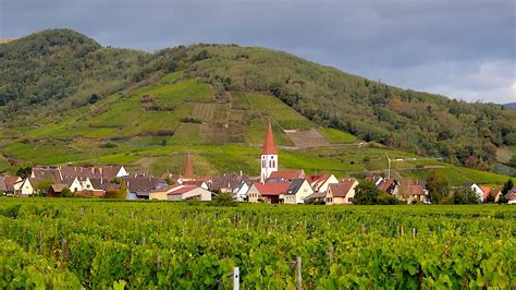 Weingut Simonis Jean Marc Et Fils Elsässer Weinstraße