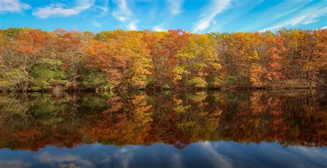Wisconsin Fall Forecast