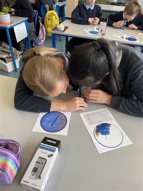 Using Microscopes In 4th Class Stanhope Street Primary School