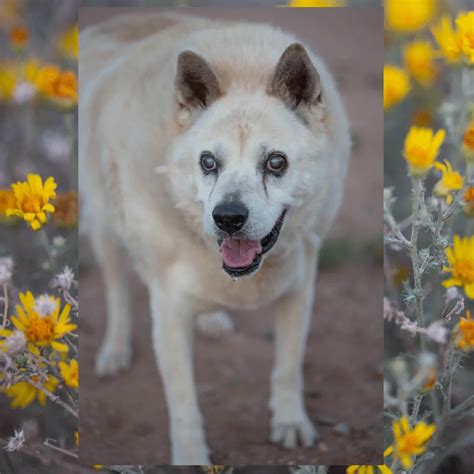 Heidi Baxter Moetoad • Instagram Photos And Videos